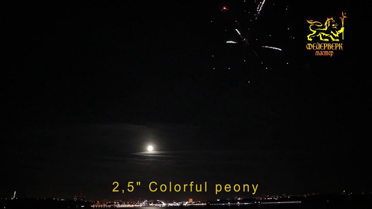 2,5" Colorful peony