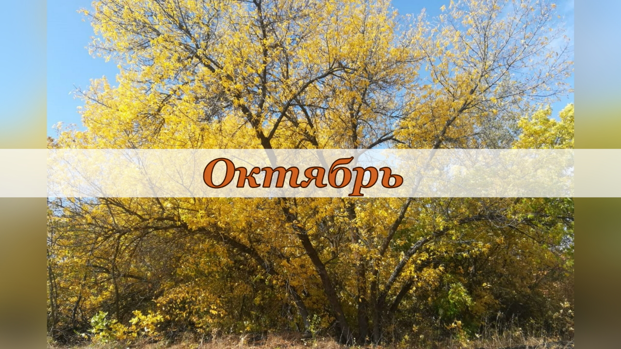 Перелистать стихами календарь. Октябрь