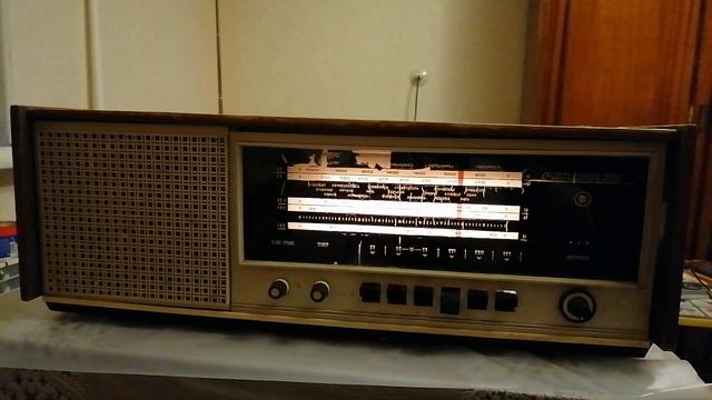 VID_20230228_record311_lapsha