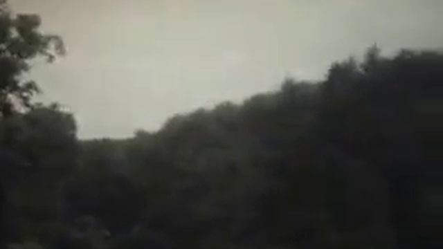 Мих - 65г Катамаран