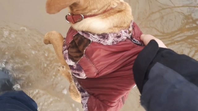 Мой путь не простой