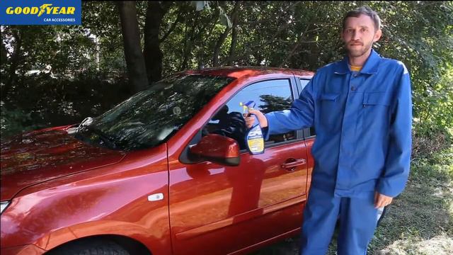 Очиститель следов насекомых Goodyear. Автообзор