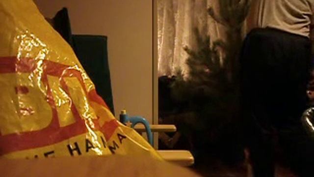 подготовка к новому году 24.12.2014