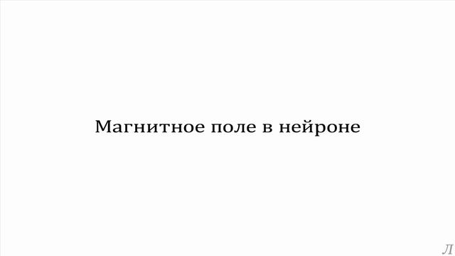 3.2 Параметры нервной системы. Магнитное поле в нейроне