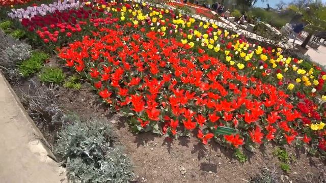 Крымская Одиссея | Часть 15 | Никитский Ботанический Сад | Арборетум | Автопутешествие | 2021