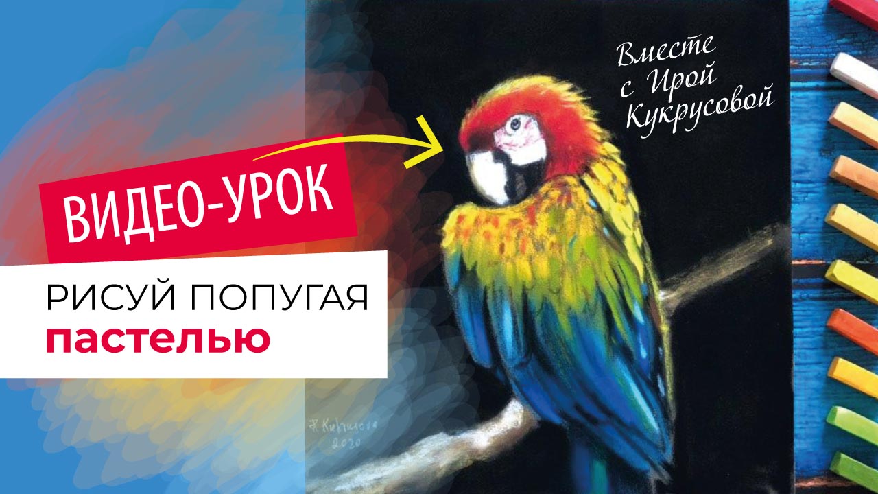 Мастер-класс/видео-урок РИСУЕМ ПОПУГАЯ ПАСТЕЛЬЮ