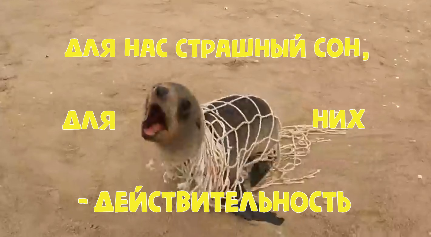 СПАСЕНИЕ ЖИВОТНЫХ ИЗ ЖУТКИХ ☠️ RESCUE ANIMALS FROM CREEPY TRAPS #9