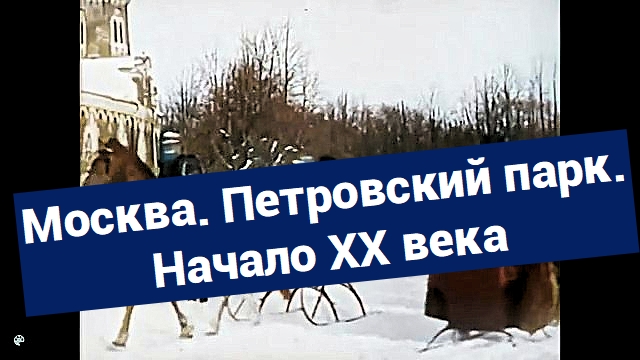 Москва. Петровский парк. Зима 1907-1908 года в цвете.