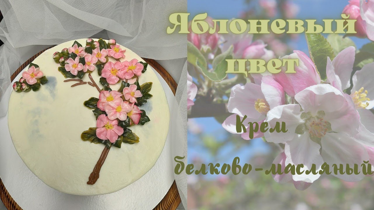 Оформление торта цветами яблони из белково масляного крема.