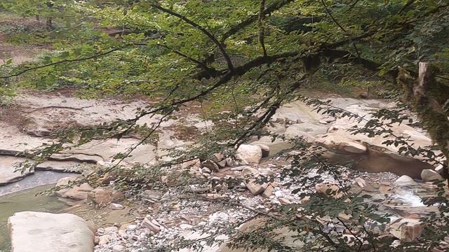 В горах Адлера