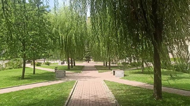 Красная поляна сегодня
