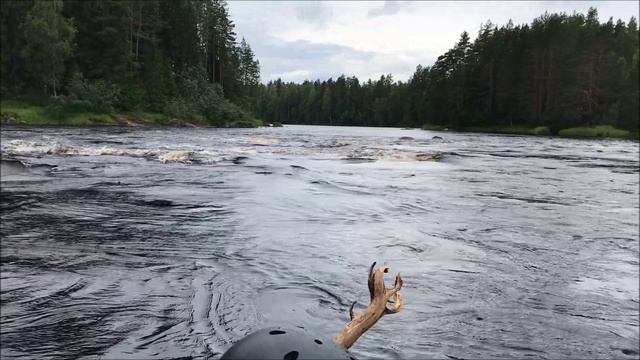 Сплав 2020. Шуя. Сон Грибной Феи