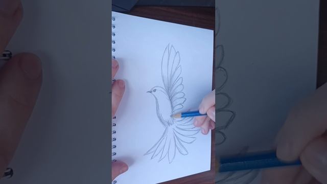 РИСУЮ ПТИЦУ КАРАНДАШОМ