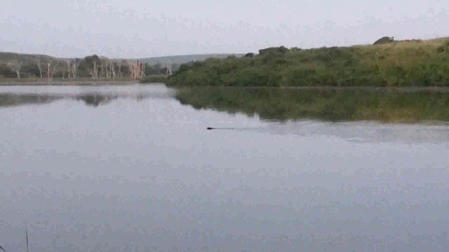 Удачная рыбалка. Лосихинское озеро ВКО