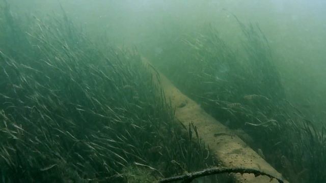 Дно реки Волга. Затонувший 50 лет назад плот. Full HD 60fps