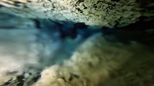 Пещерный дайвинг в Мексике. Сужения и галоклин.