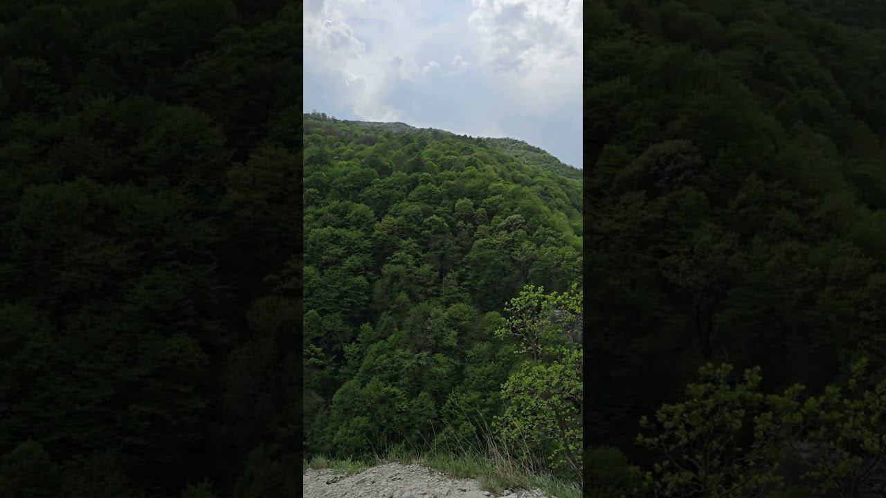 Аргунское ущелье #кавказ  #чечня #горы