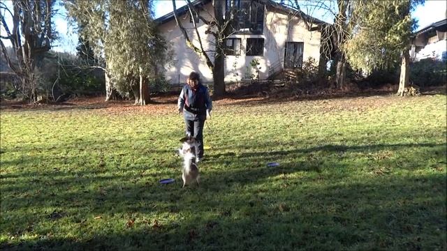 Фризби Фристайл 2016  Мария и Чара.mp4