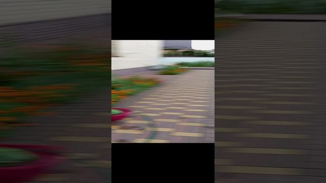 Дом в Калининграде. Территория участка_3 сотки