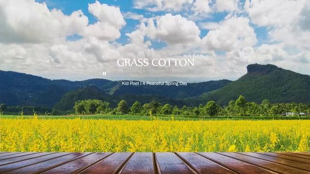 Теплая красивая музыка, спокойный и расслабляющий плейлист.