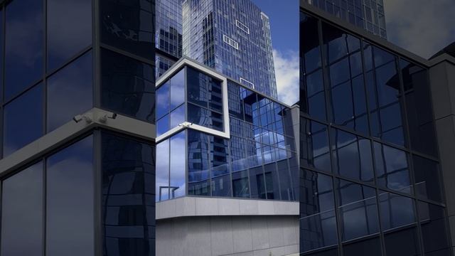 Акита фэмили