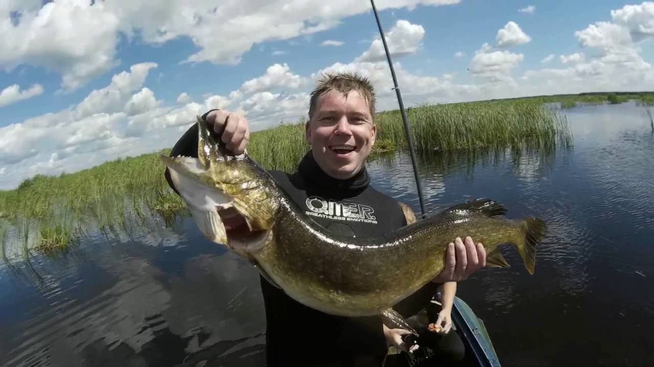 Это Мой Мир--Вливайся (Треллер канала)