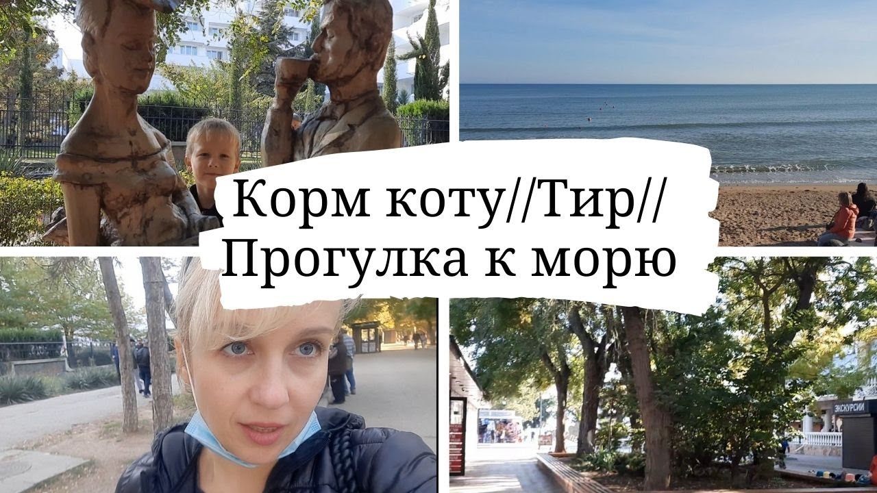 Корм коту. Продуктовая корзина. Тир. Прогулка к морю