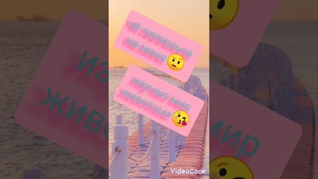 Учимся
хамить
КРАСИВО?