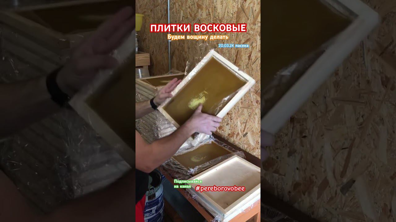 Плитки восковые для вощины!| ПЧЕЛОВОДСТВО #pereborovobee #пчеловодство #пасека #матковод #воск