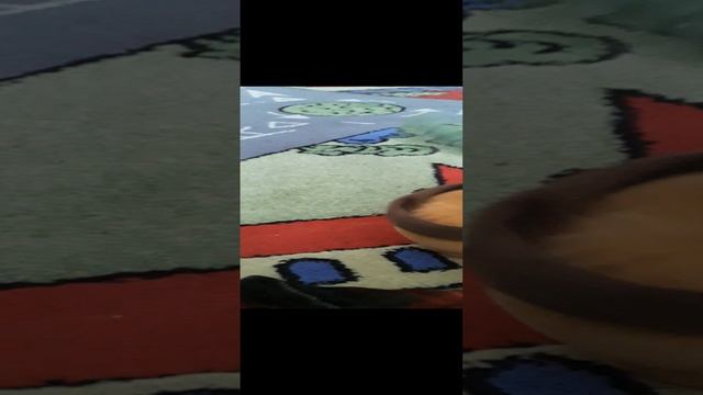 обзор на кактус