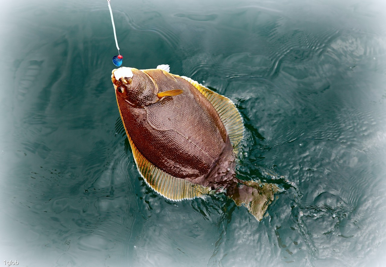 193.Трофеи 45.mp4