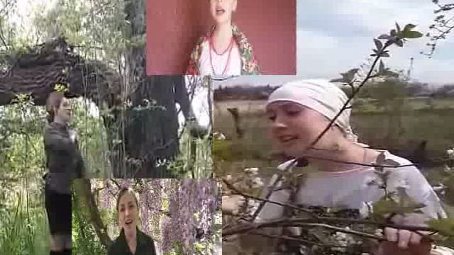 ВЕТОЧКА СИРЕНИ ФИЛЬМ_