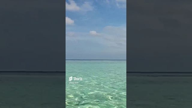 Мальдивы. Пляж Бикини бич Тулусду. Мальдивы за 56 тысяч рублей с перелетом на неделю. Тутси влог.