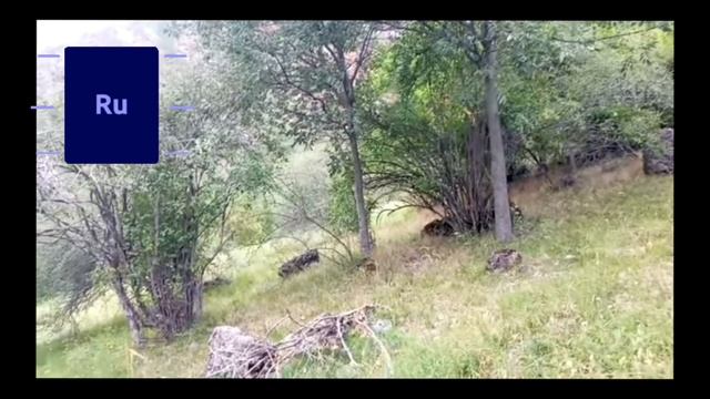 YouCut_20230626_203539510.mp4