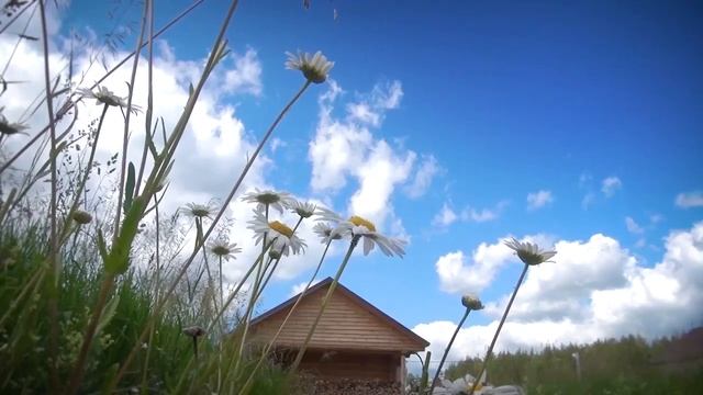 Поселок "Бобер", группа поселков "Заповедник"