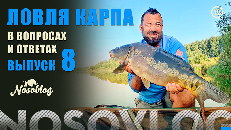 Карпфишинг в опросах и ответах, выпуск 8, Колесников А.