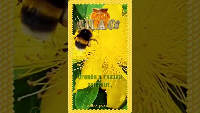 С Медовым Спасом!