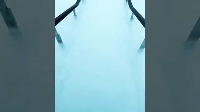 VID_20221223_184915_464.mp4