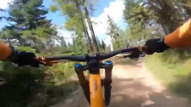 Велосепедист врезался в дерево