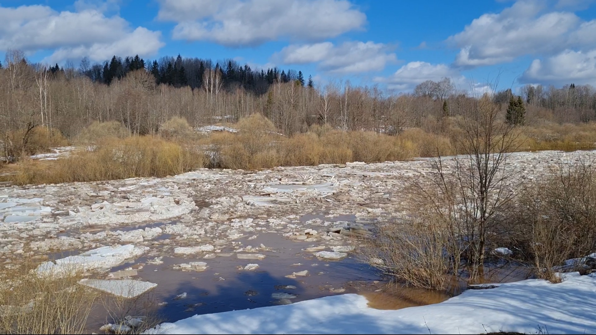 Ледоход на реке Пола_деревня Костьково_Новгородская область
