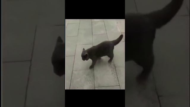 Уйди от меня чудовище.mp4