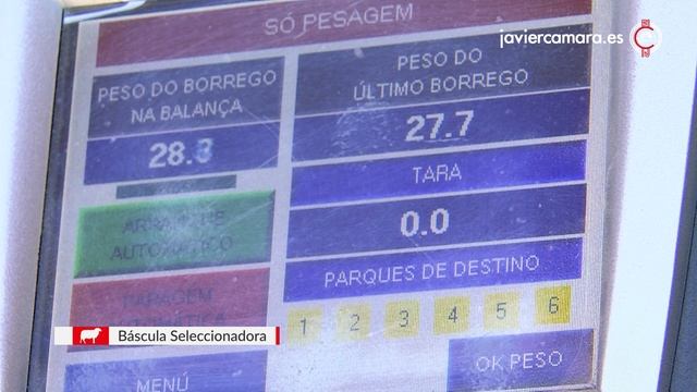 JAVIER CAMARA 2021 Импортное оборудование для овцеводства