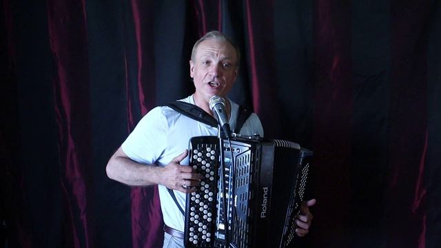 аттестат в крови Бутырка кавер на баяне