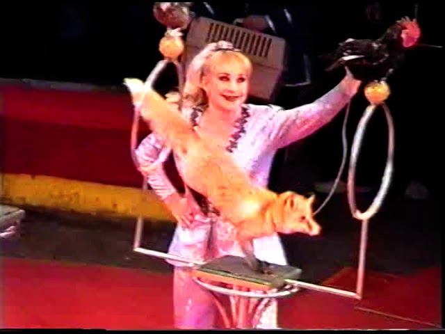 Цирк. 5.11.2003.