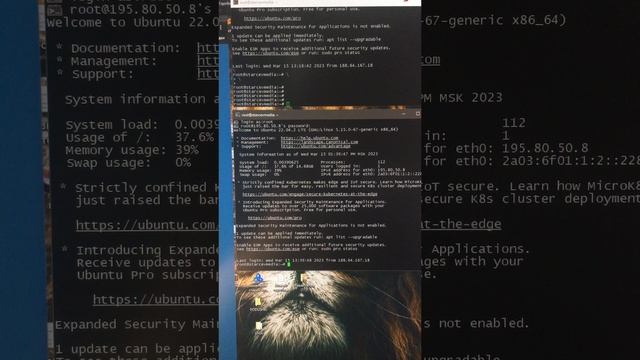 №11.1 Запуск Django 4.1 + Postgres 15, создание первого проекта и админинстратора для Админки
