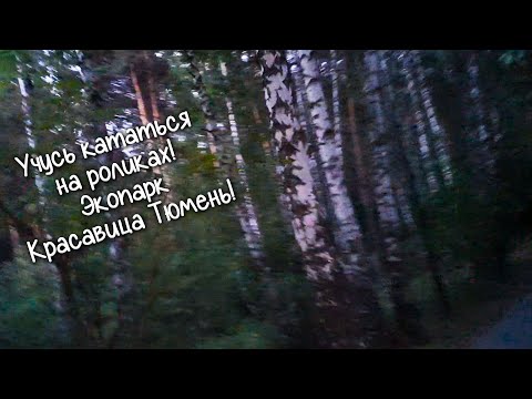 Умиротворение. Прогулка. Тюмень. Экопарк .Похудела на 60кг за 15 месяцев .Мотивация для худеющих.