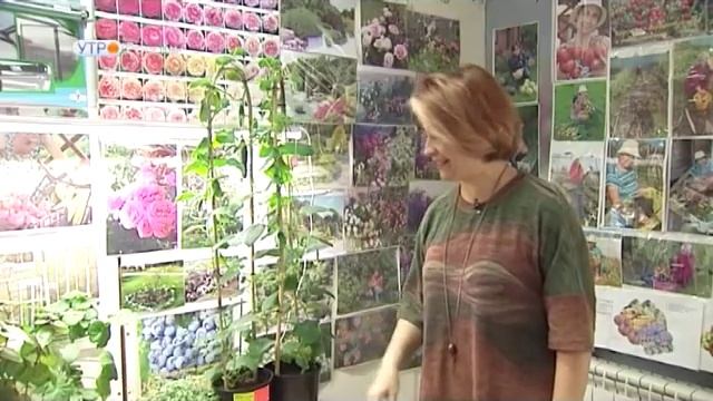 ПОЛЕЗНАЯ ЗЕМЛЯ.