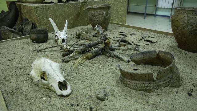 Тевризский историко - краеведческий музей имени К. П. Кошукова.