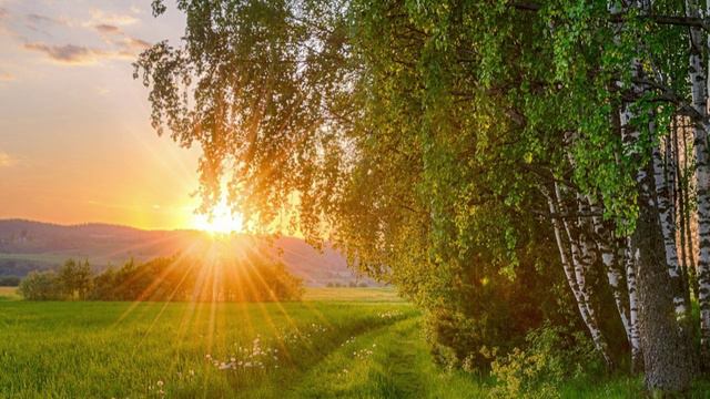 Земля Матушка №45