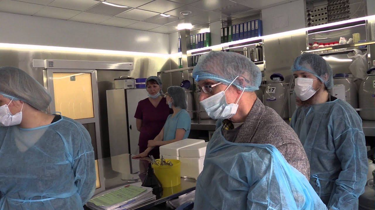 Путешествие в Альтравиту